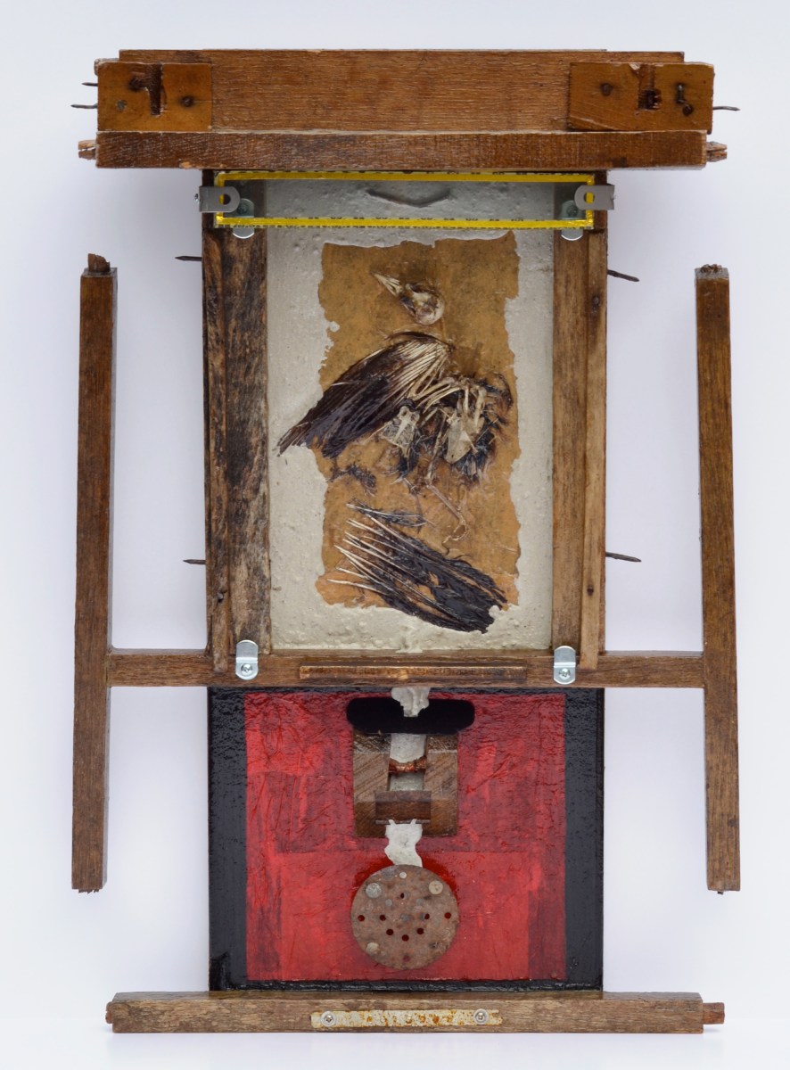 The Flesh Series | Eric Dodson