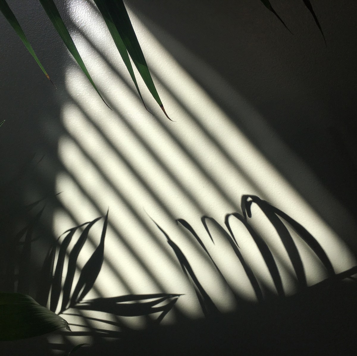 Waiting Spaces | Eric Dodson